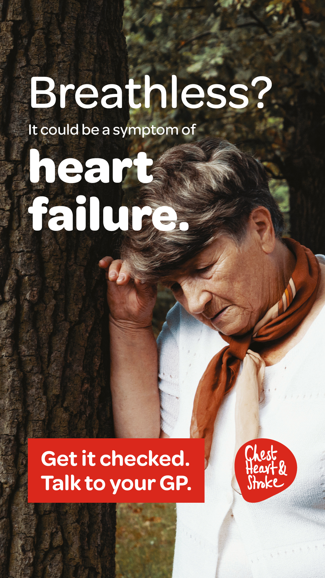 EHN Members activities on World Heart Day 2024 - European Heart Network